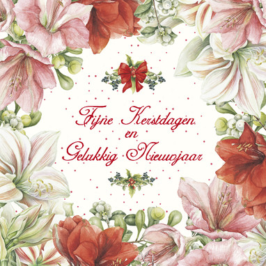 Kerstgedichten 2019. De mooiste en nieuwste kerstgedichten!